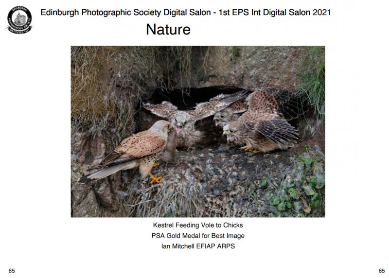 PSA | Scottish Photographic Federation